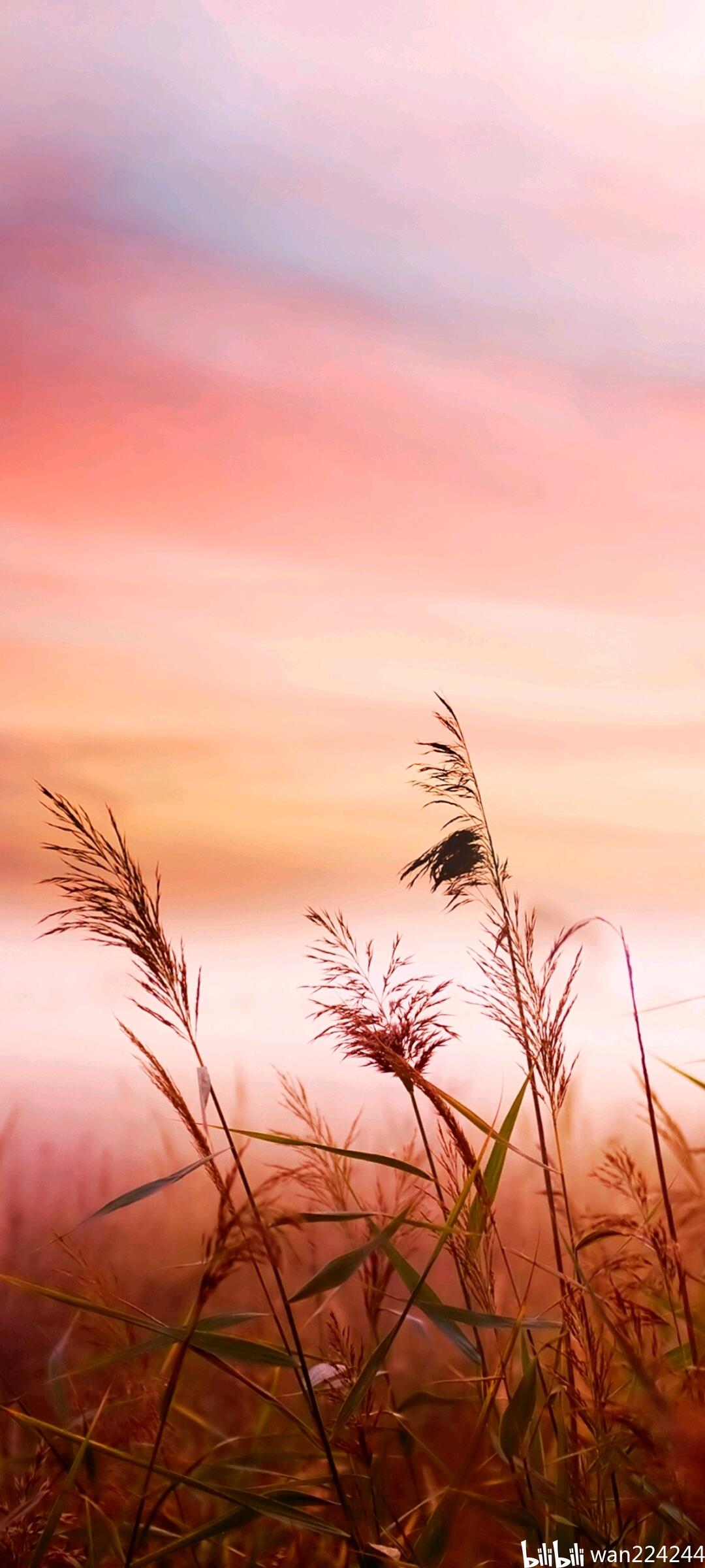 《鬼谷八荒》气运ID(1.1.0) - 哔哩哔哩