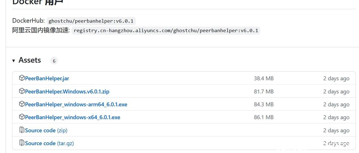 Win安装PeerBanHelper 搭配qbittorrent进行反吸血 - 哔哩哔哩