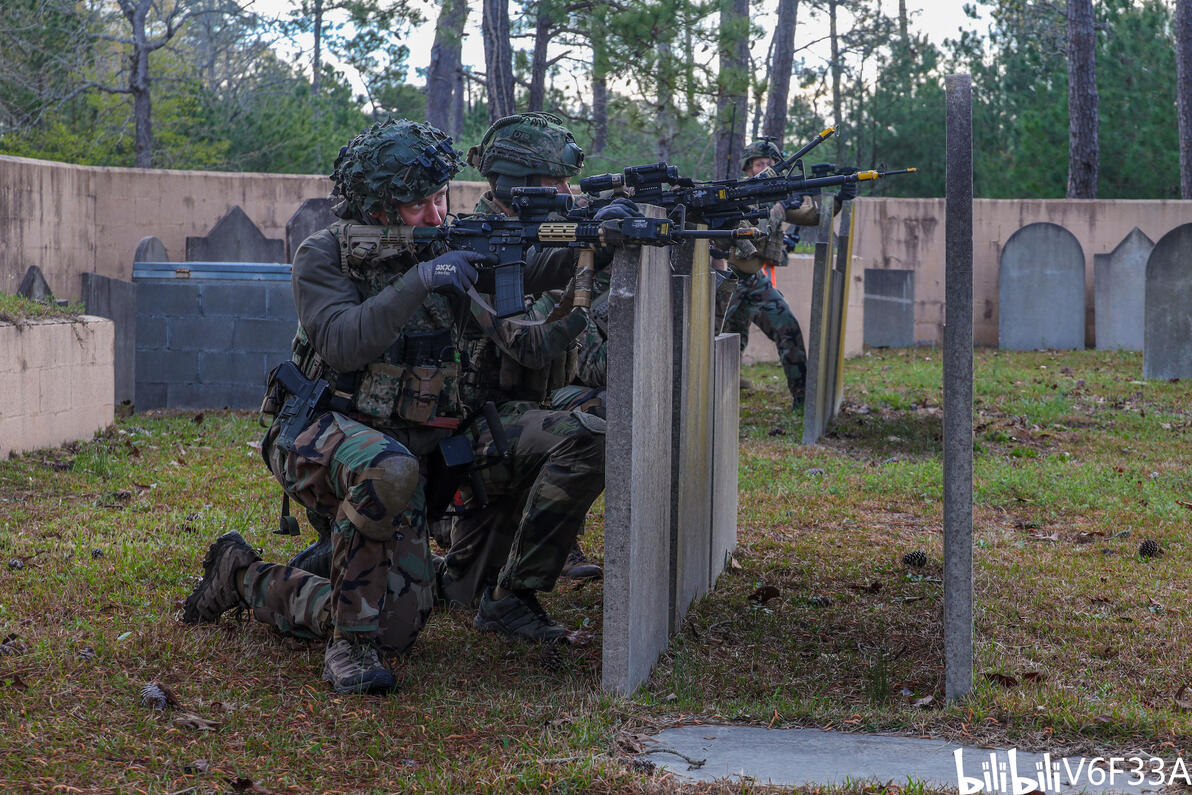 荷兰军用枪械发展史（2） - 哔哩哔哩
