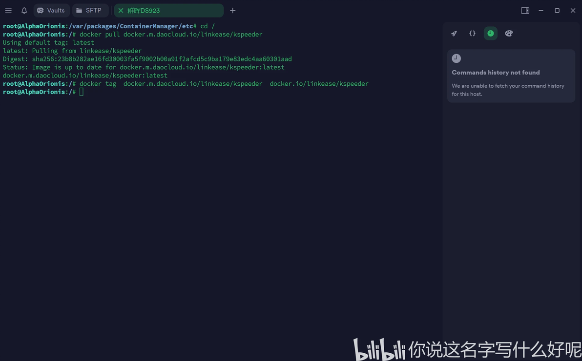 【Bin-计算机教程】群晖Docker镜像加速最优解-Kspeeder搭建本镜像 - 哔哩哔哩