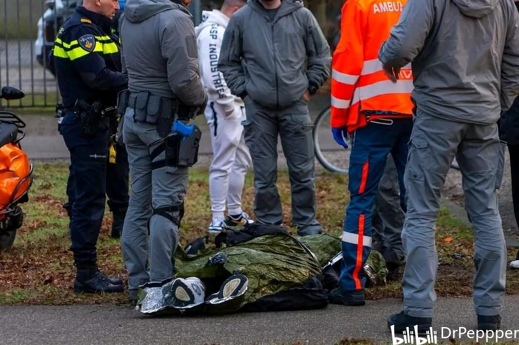 关于荷兰DSI装具细节 - 哔哩哔哩