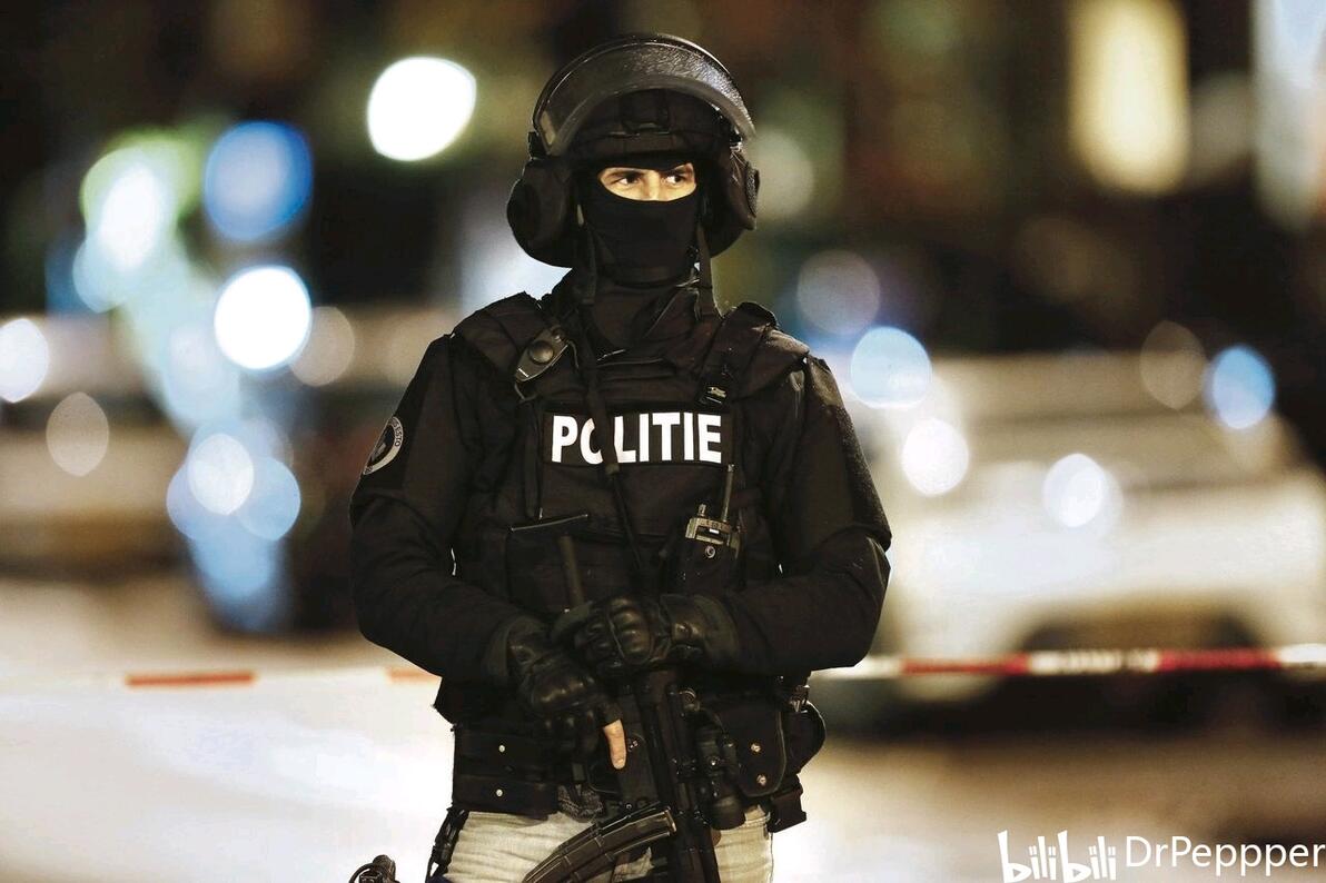 关于荷兰DSI装具细节 - 哔哩哔哩