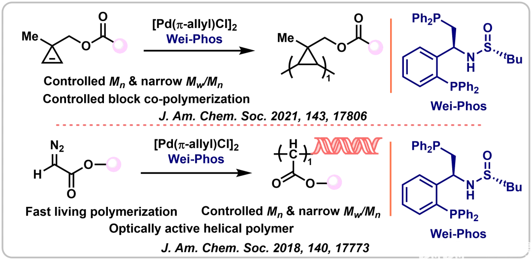 Sadphos：叔丁基亚磺酰胺（TBSA）的神奇之旅 - 哔哩哔哩