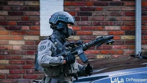 关于荷兰DSI装具细节 - 哔哩哔哩