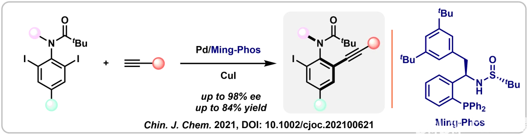 Sadphos：叔丁基亚磺酰胺（TBSA）的神奇之旅 - 哔哩哔哩