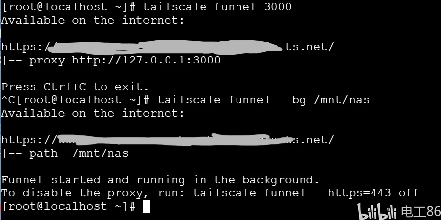 基于Tailscale Funnel实现公网浏览器访问本地局域网文件或服务 - 哔哩哔哩