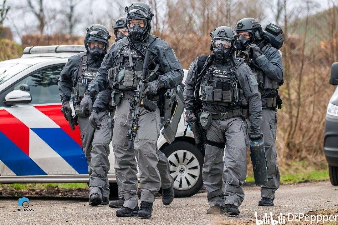 关于荷兰DSI装具细节 - 哔哩哔哩