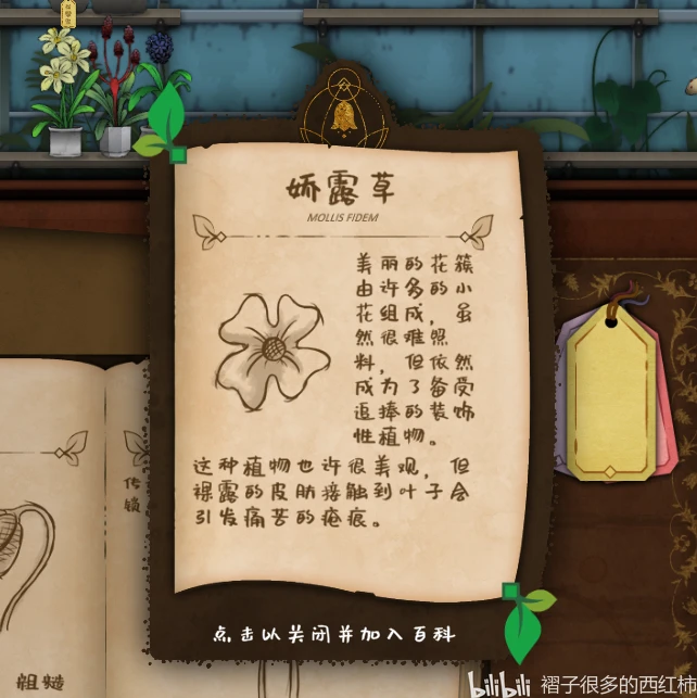 《奇异花园》（Strange Horticulture）攻略第二天 - 哔哩哔哩