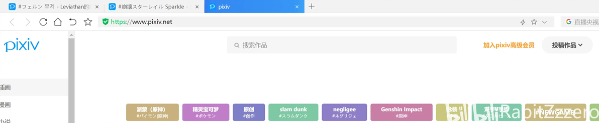 Pixiv的Pid如何使用 - 哔哩哔哩