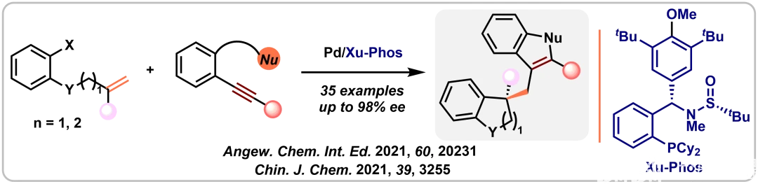 Sadphos：叔丁基亚磺酰胺（TBSA）的神奇之旅 - 哔哩哔哩
