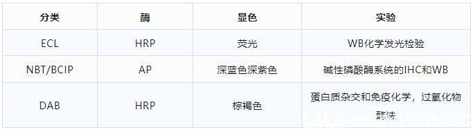 ECL、NBT/BCIP和DAB有什么区别？WB显色方法怎么选？ - 哔哩哔哩