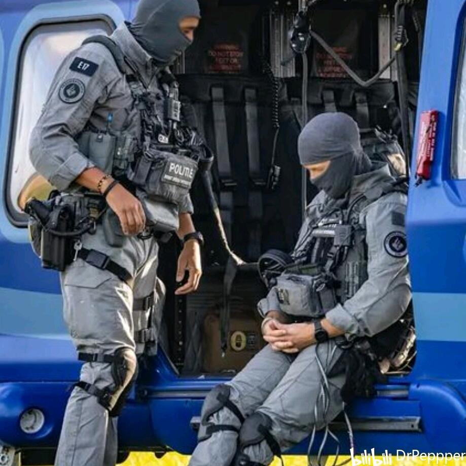 关于荷兰DSI装具细节 - 哔哩哔哩