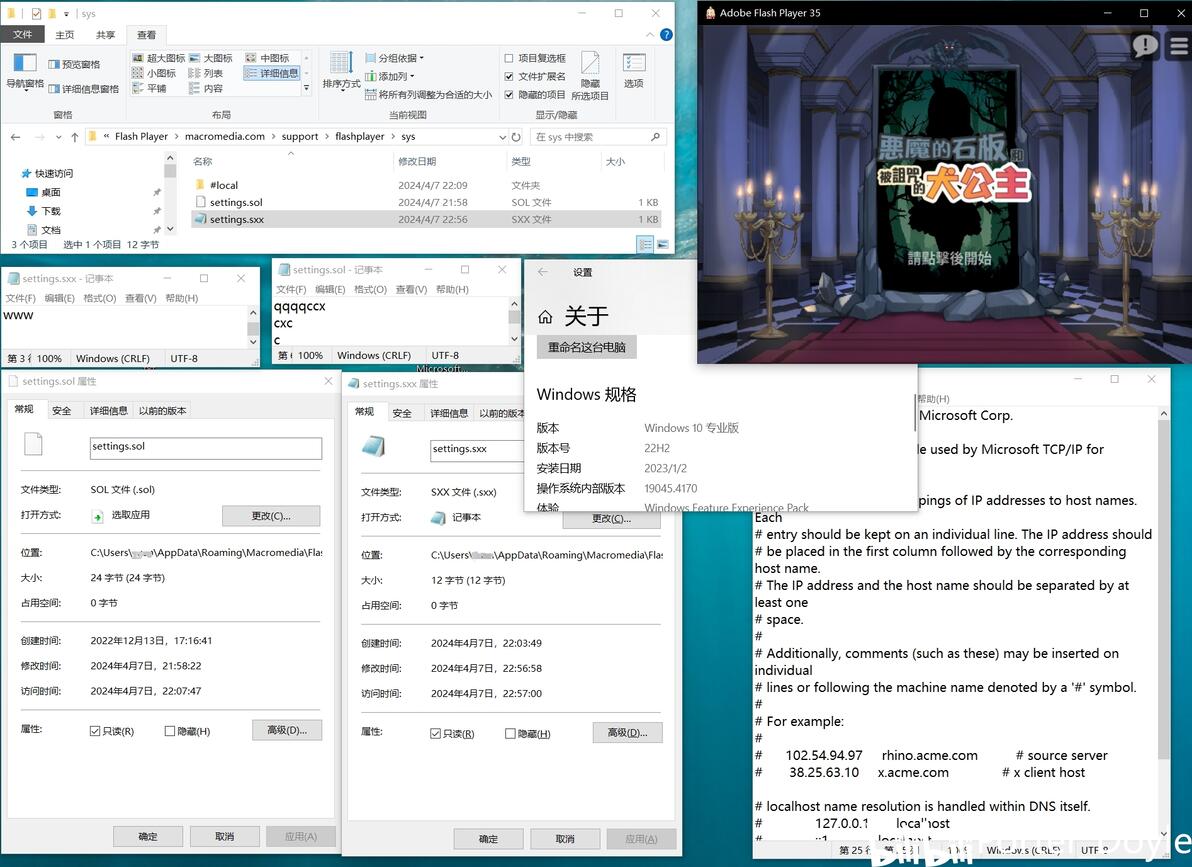 Win10、11游玩犬公主出现提示：flash版本过旧解决方案整理（亲测成功） - 哔哩哔哩