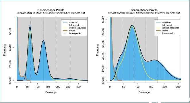 干货！一文教会你，如何判断你的研究物种是同源or异源！ - 哔哩哔哩