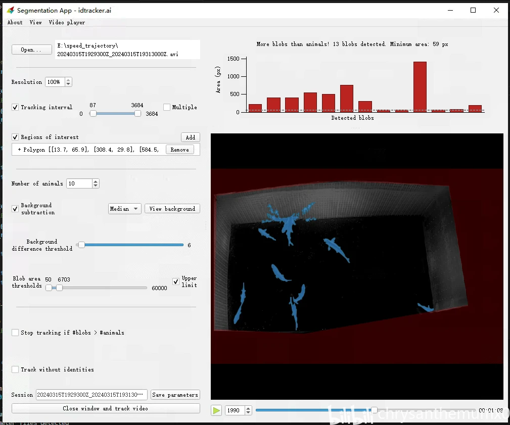一图流的idtrackerai调试经验分享 - 哔哩哔哩
