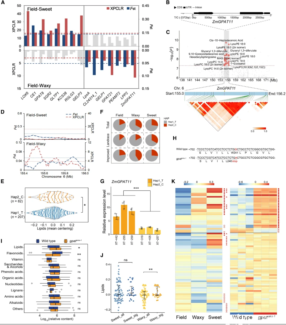 GWAS之后如何进行mGWAS分析？如何准备样本？ - 哔哩哔哩