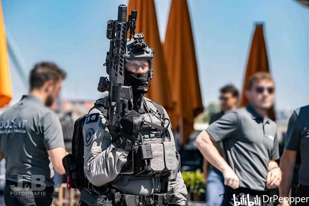 DSI Customized .300BLK MCX - 哔哩哔哩