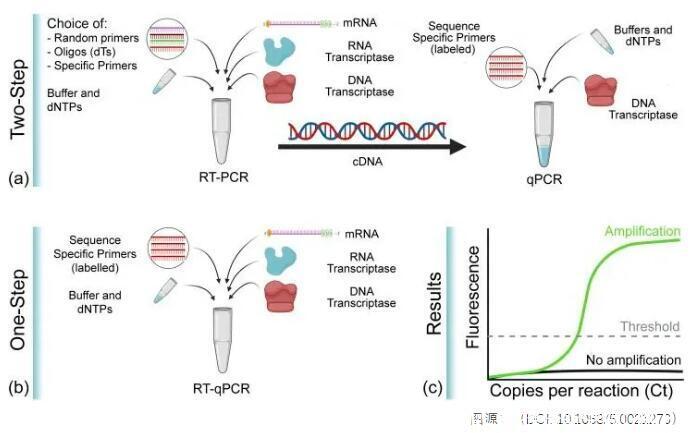 一文搞懂 PCR、qPCR、RT-PCR、RT-qPCR 及优缺点 - 哔哩哔哩