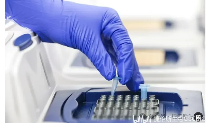 TE、TAE、TBE 三种缓冲液对比 - 哔哩哔哩