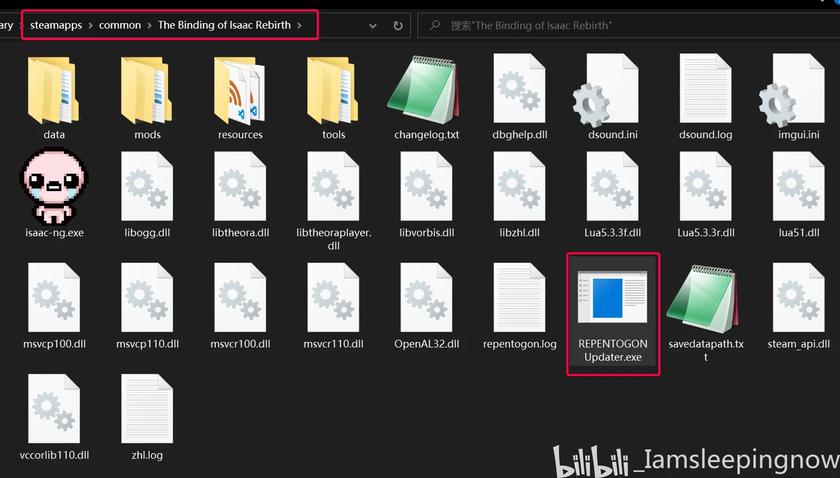 [以撒] REPENTOGON的安装与卸载 (Isaac Script Extender) - 哔哩哔哩