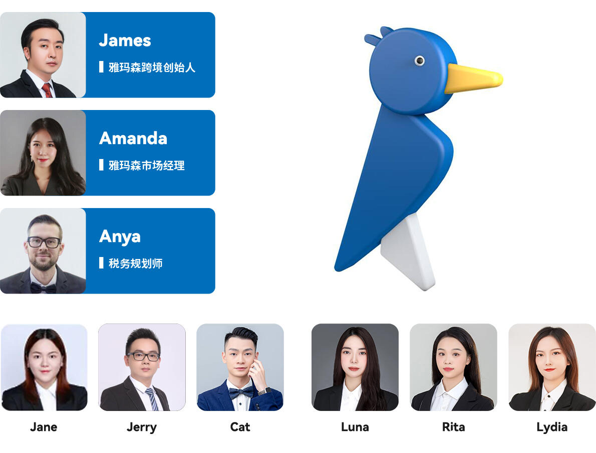 Temu平台CE-Rohs；RSL-Report资质上传指引 - 哔哩哔哩