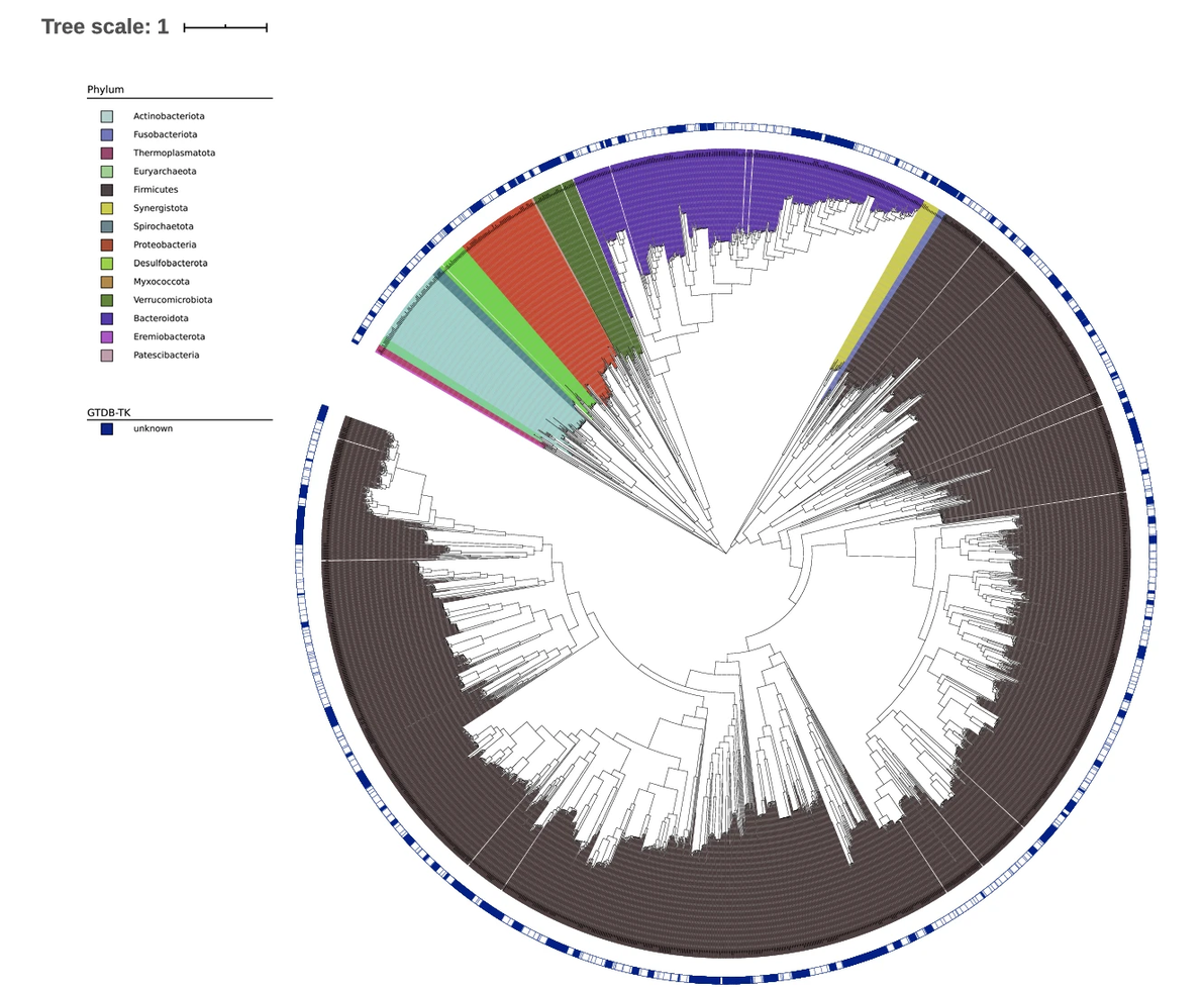 领先不止一步！凌恩生物GTDB最新版本R226火速更新！ - 哔哩哔哩