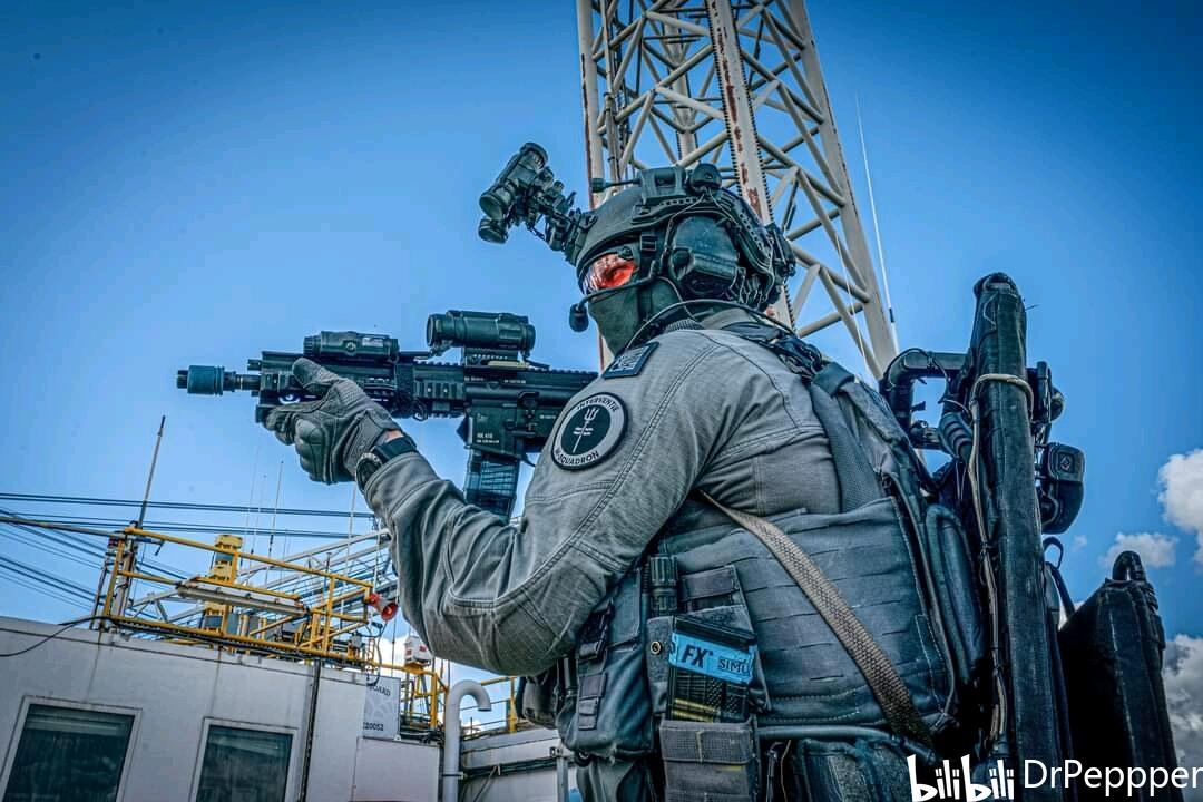 关于荷兰DSI装具细节 - 哔哩哔哩