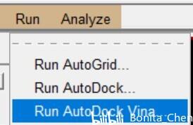 Autodock Vina对接全过程（1.5.7版本） - 哔哩哔哩