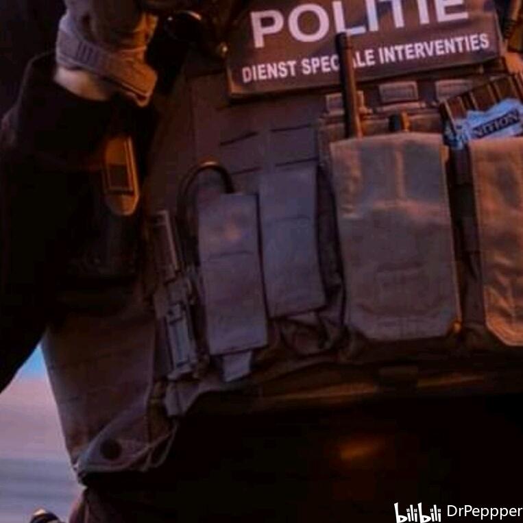 关于荷兰DSI装具细节 - 哔哩哔哩