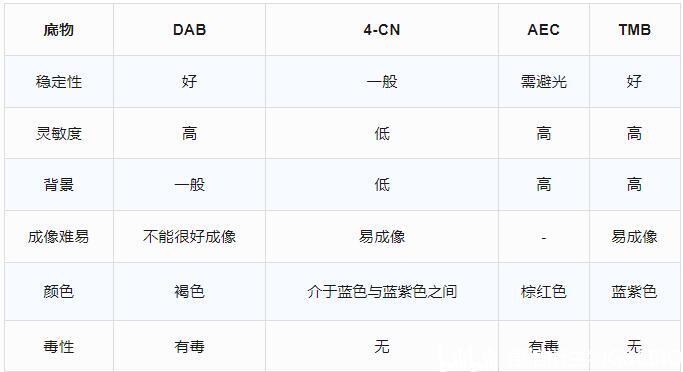 ECL、NBT/BCIP和DAB有什么区别？WB显色方法怎么选？ - 哔哩哔哩
