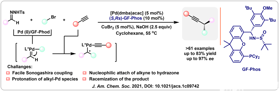 Sadphos：叔丁基亚磺酰胺（TBSA）的神奇之旅 - 哔哩哔哩