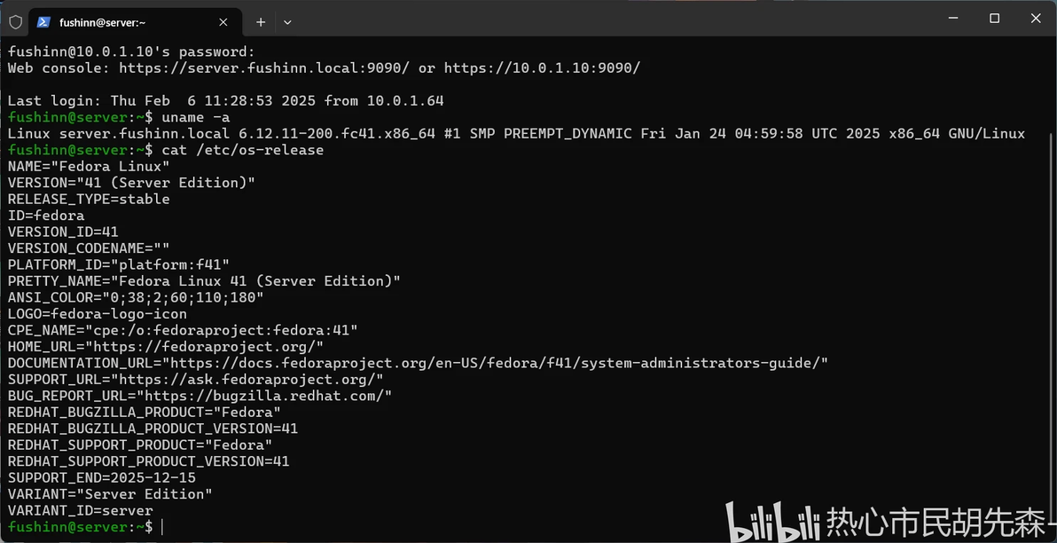 使用DG1显卡在裸机Linux上打造高性能NAS服务器：完全解码指南 - 哔哩哔哩