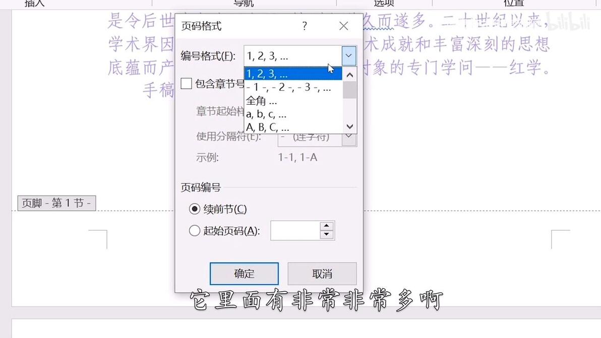 Word文档页码格式的设置方法及技巧，可以自定义为任意样式 哔哩哔哩
