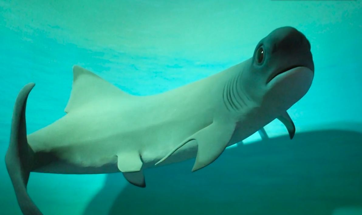 谁是深海没落贵族【墙能玩明白】7# - 哔哩哔哩