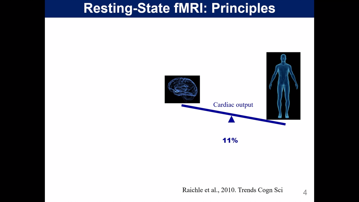 静息态功能磁共振成像(rs-fMRI)原理与数据分析,DPABI教程 - 哔哩哔哩