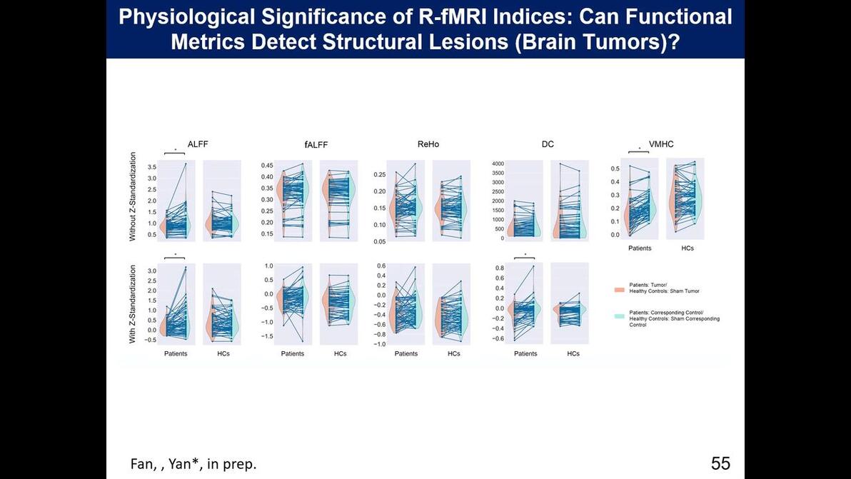静息态功能磁共振成像(rs-fMRI)原理与数据分析,DPABI教程 - 哔哩哔哩