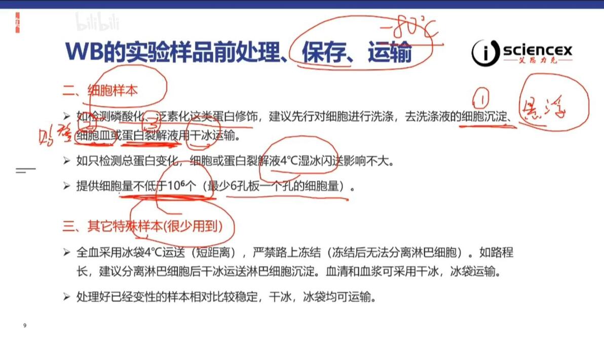 WB实验原理，WB实验步骤以及结果分析，本视频为直播回放视频，每周六实验讲座，周 - 哔哩哔哩