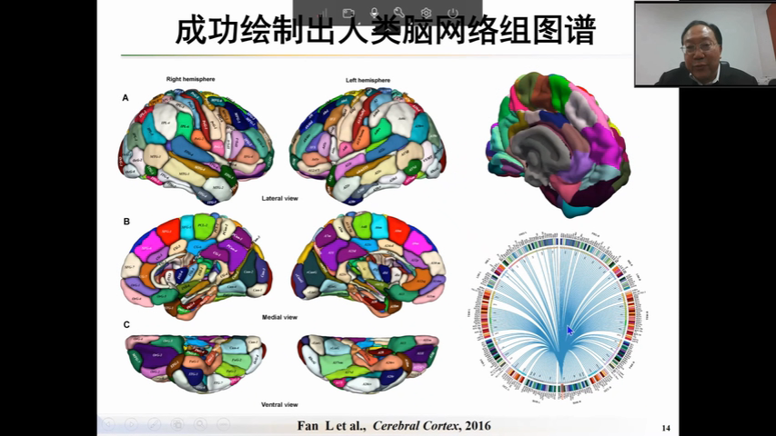 蒋田仔 脑网络组图谱及其在脑认知与脑疾病研究中的应用 | 脑客中国第2位讲者 - 哔哩哔哩