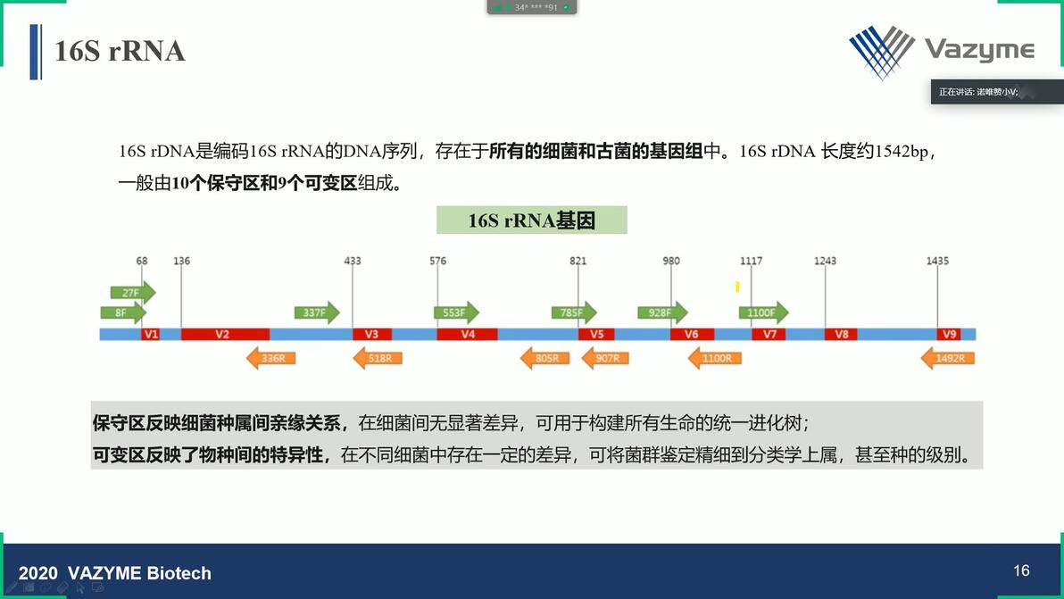 微生物组学研究-16s测序 从建库到数据分析全流程解析 - 哔哩哔哩