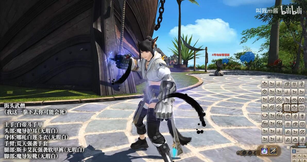 【ff14】6.4幻化搭配分享：第四期（共33套丨无滤镜丨猫娘模特丨自用分享） - 哔哩哔哩