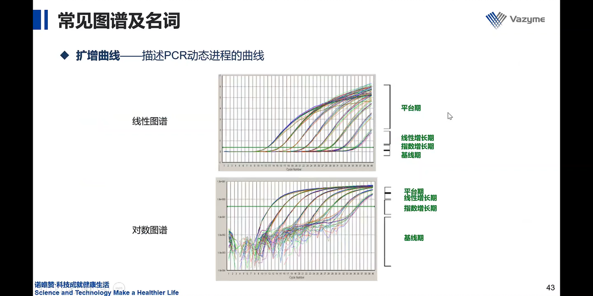 荧光定量（qPCR）原理、实验流程及结果分析 - 哔哩哔哩