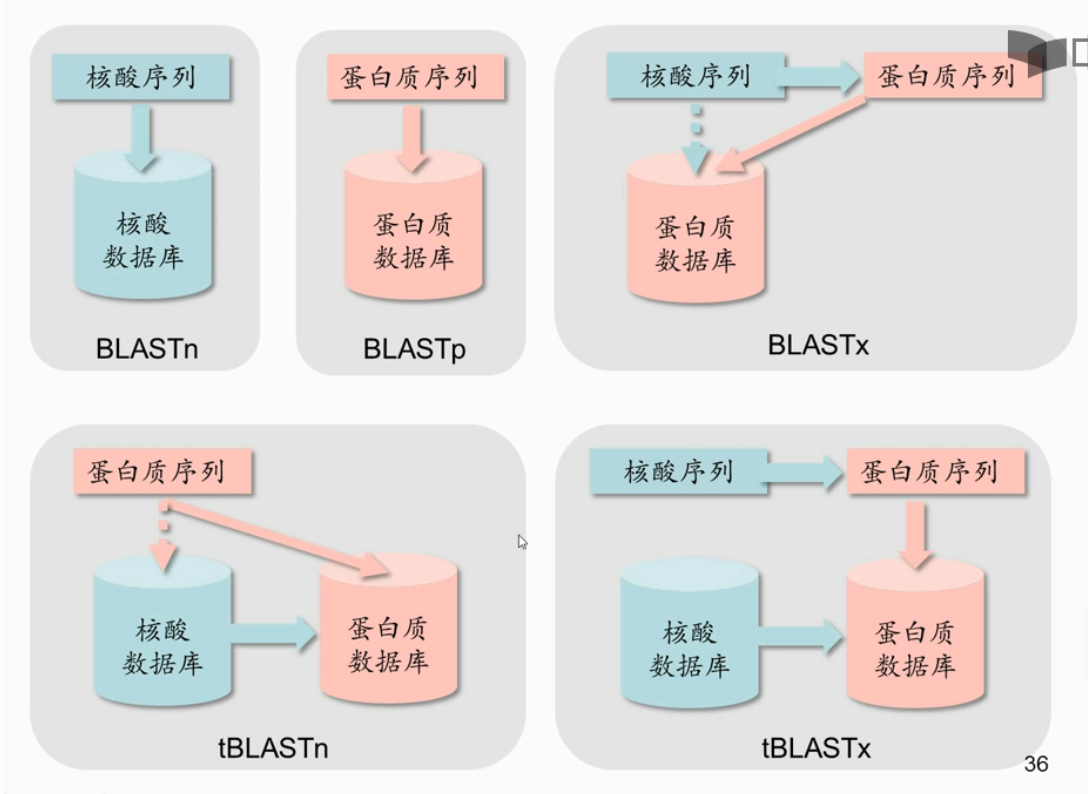 【推荐课程】山东大学生物信息学（高清原版课程带全套课件） - 哔哩哔哩