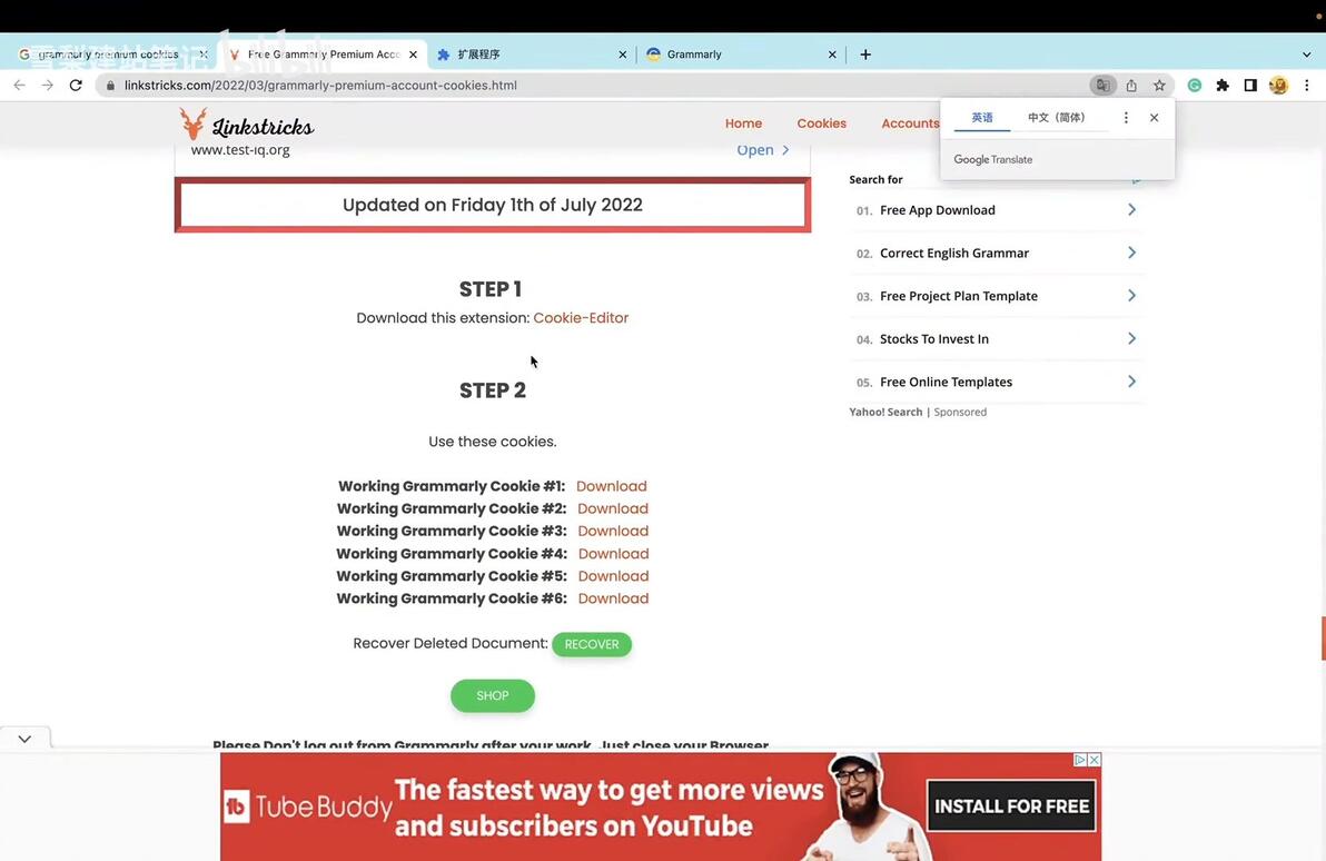 如何免费使用Grammarly Premium，英语润色必备神器！ - 哔哩哔哩
