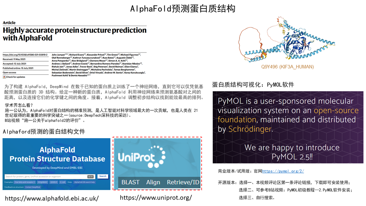 手把手带你获取AlphaFold 预测的蛋白文件 用PyMOL软件给蛋白结构域加 - 哔哩哔哩