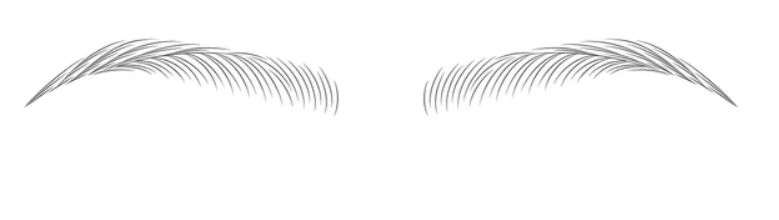 【TED-ED 700集】B站最好英语合集，刷一遍绝对能让你英语口语起飞！ - 哔哩哔哩