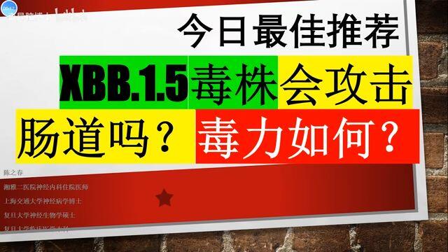 今日最佳推荐：XBB.1.5毒株会攻击肠道吗？毒力如何？ - 哔哩哔哩