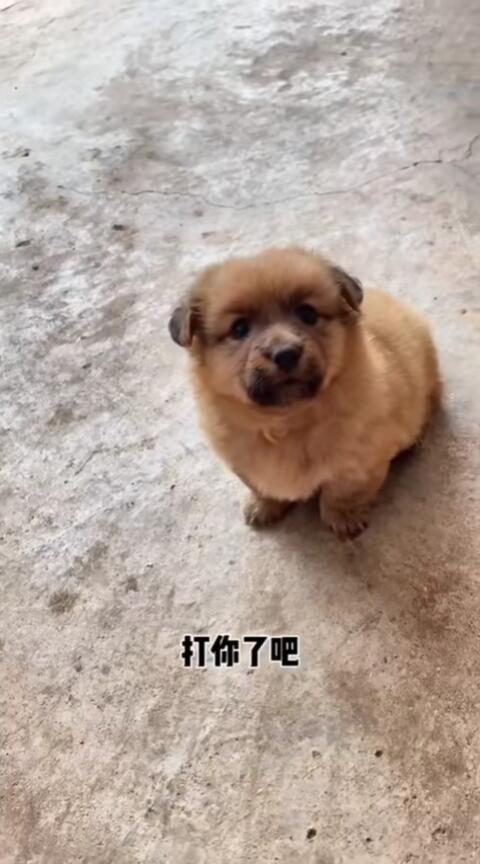 开开心心蹦蹦跳跳,啊,就,快乐消失了 哔哩哔哩
