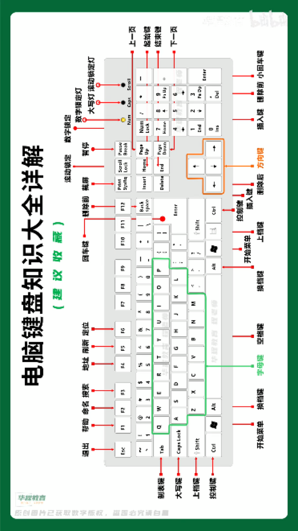 零基础电脑键盘功能知识大全必学知识 哔哩哔哩