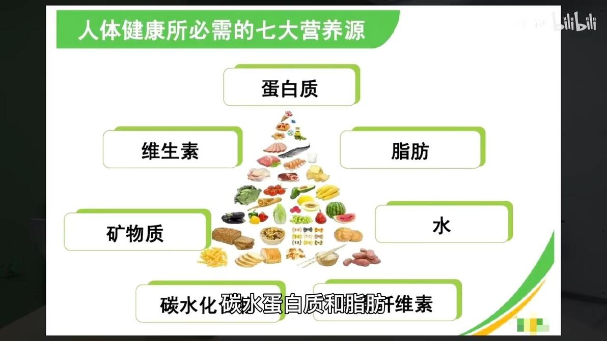 【长干货】不计算卡路里,不用食谱!手把手教你减肥期间一日三餐怎么吃!大体重必看。 哔哩哔哩