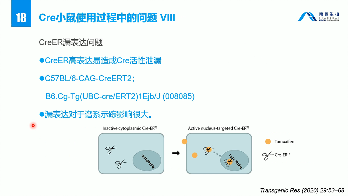 Cre-loxP系统介绍及使用问题 - 哔哩哔哩